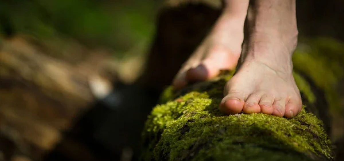 TFC Explorer Program – The Foot Collective