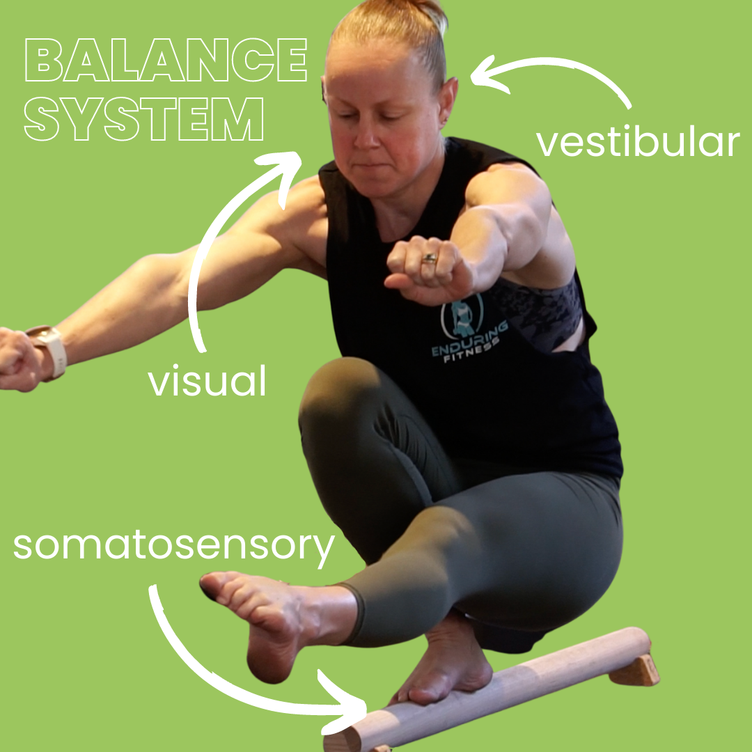 Balance Education – The Foot Collective