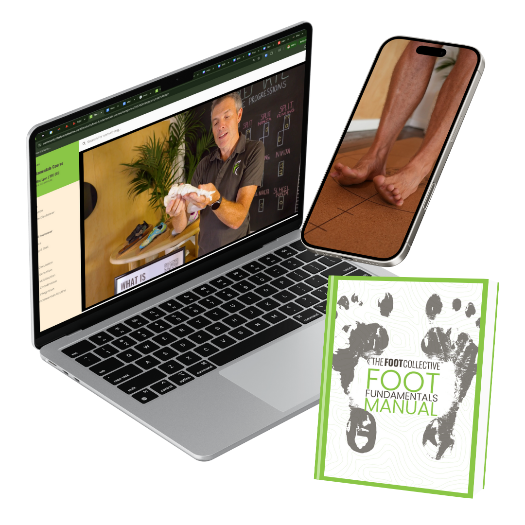 Foot Fundamentals Course – The Foot Collective