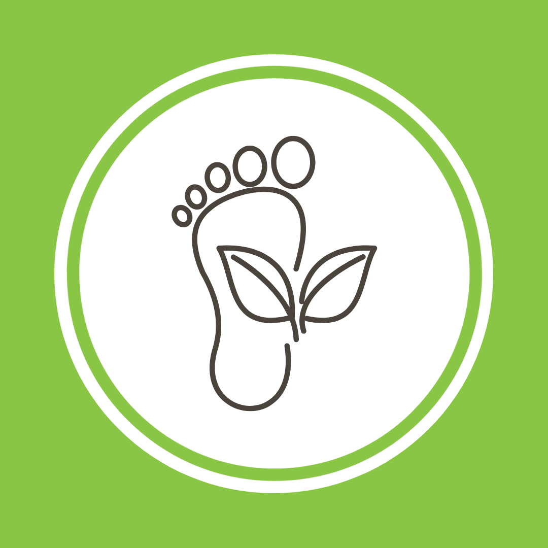 Guided Foot Restoration Program – The Foot Collective