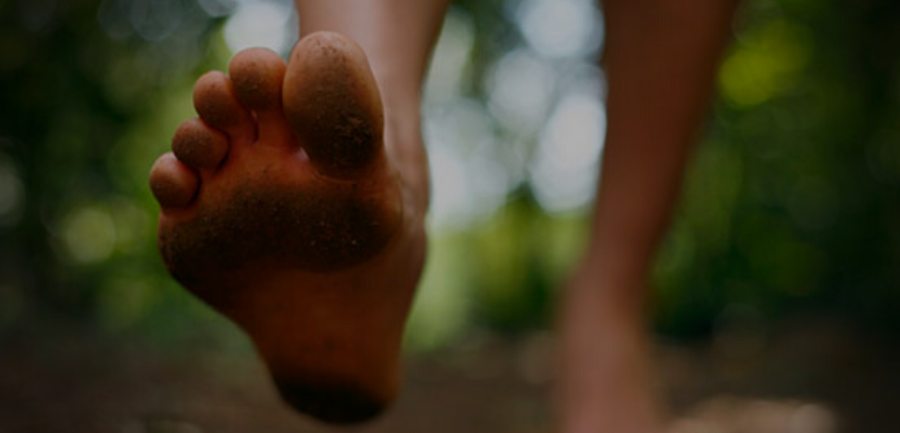 Wild Toes – The Foot Collective